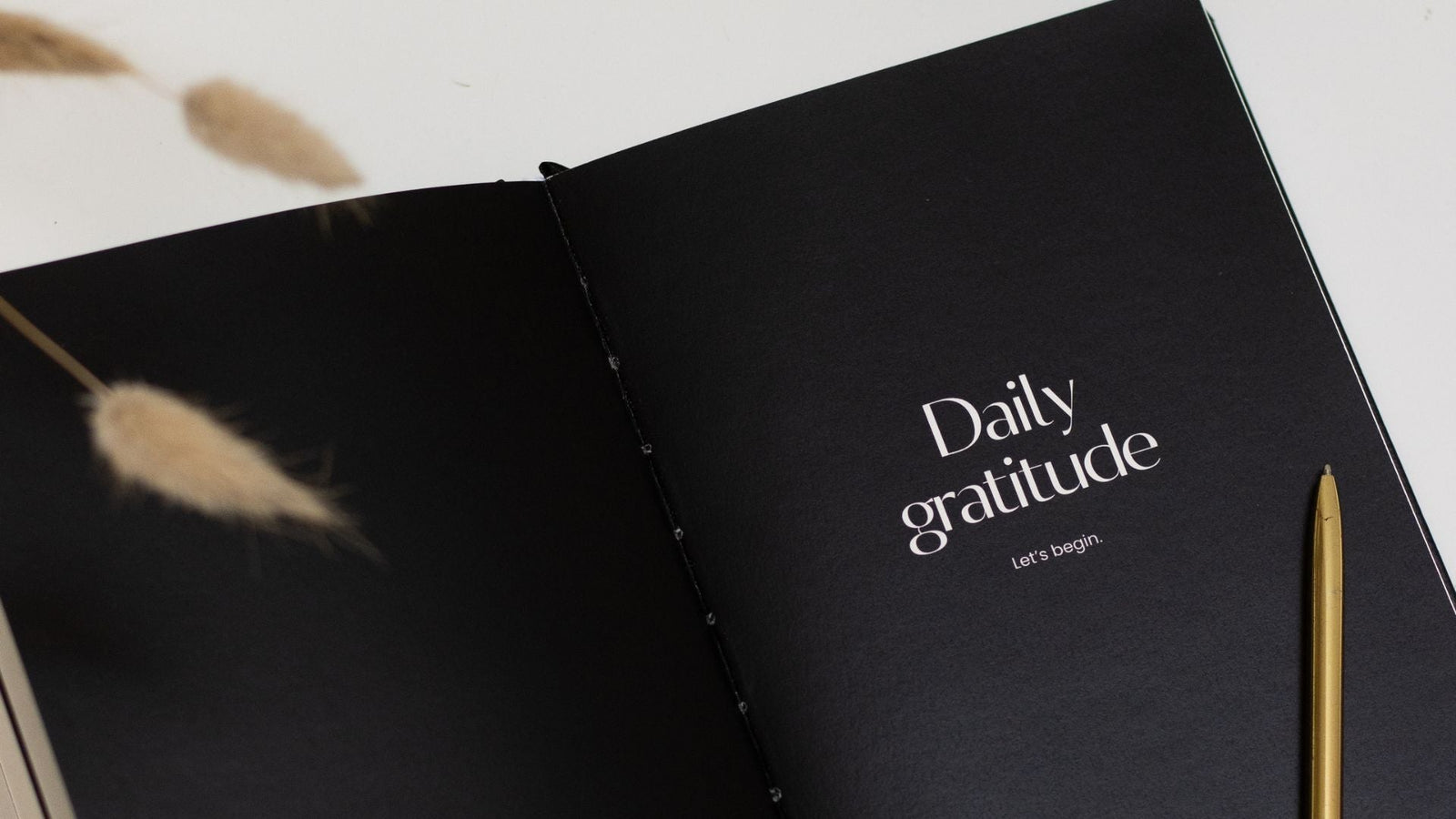The Beginner’s Guide to Gratitude Journaling: How to Start a Gratitude ...